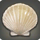 Glass Scallop