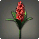 Red Hyacinths