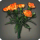 Orange Carnations