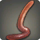 Bloodworm