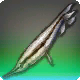 Mailfish