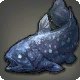 Coelacanth