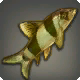 Steppe Sweetfish