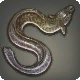Giant Eel