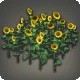 Sunflower Plot