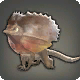 Frilled Dragon